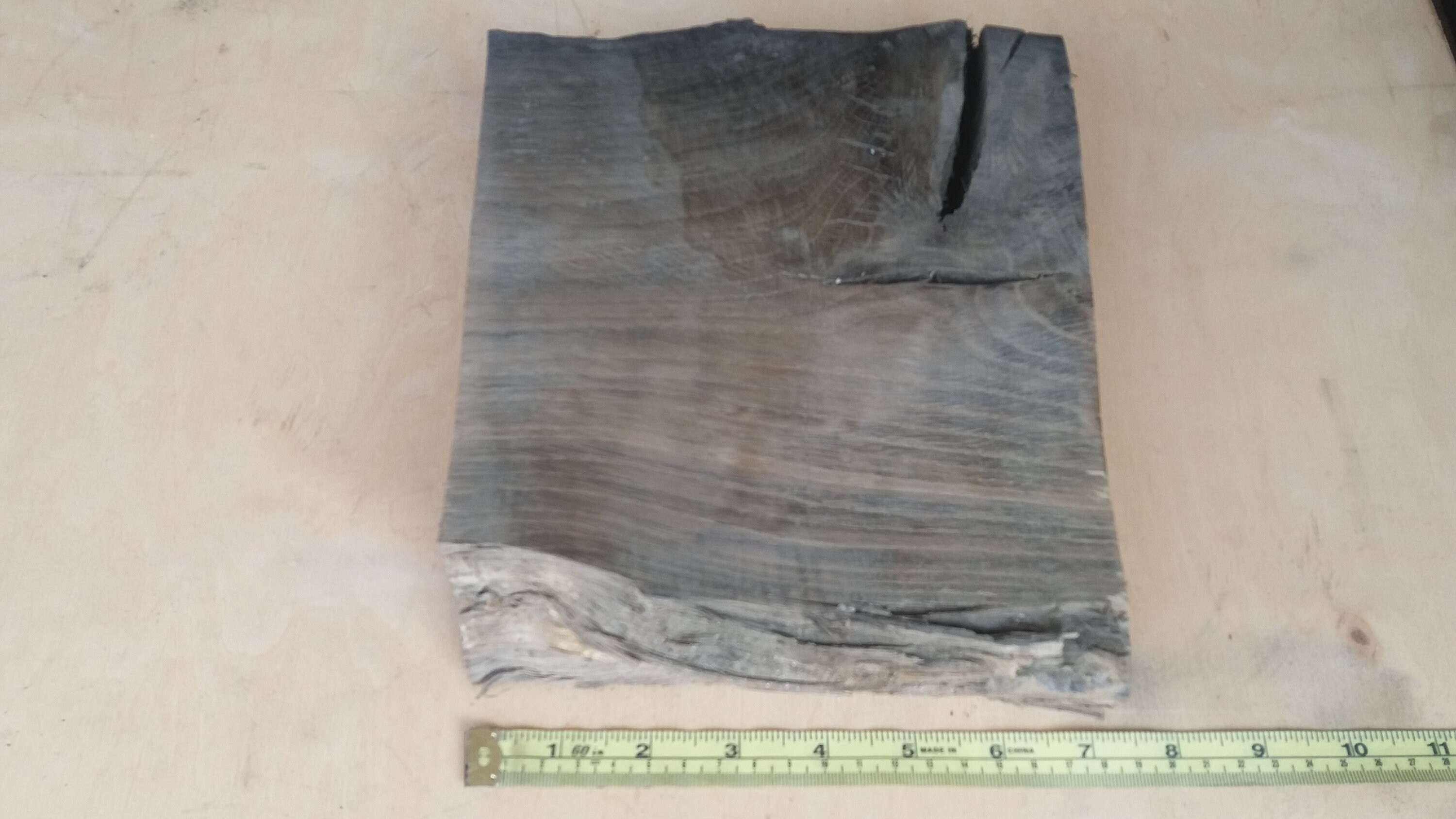 Curved Live Edge Bog Oak Board 9'' x 7'' | Etsy