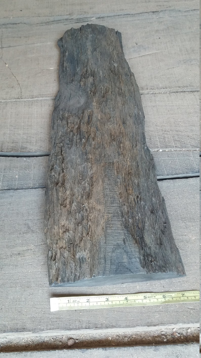 22 Inches Live Edge Bog Oak Board Size L 22'' X W 7 | Etsy