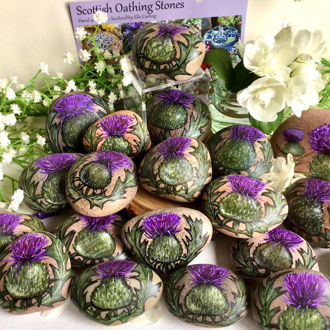 Lovely Hand Painted Scottish Thistle Pebble Flower of Scotland Stone ...