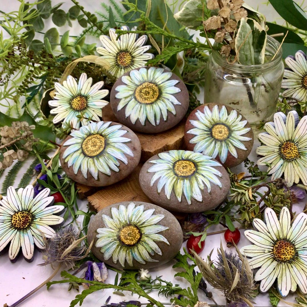 Mini Daisy Pebble, Stone, Rock Hand Paianted in Scotland. Gift or ...