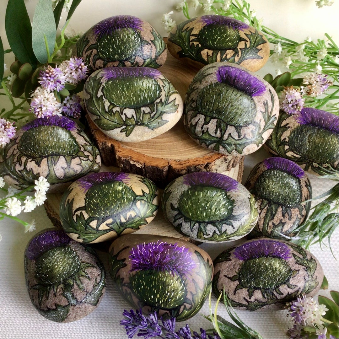 Lovely Hand Painted Scottish Thistle Pebble. Flower of Scotland Stone ...