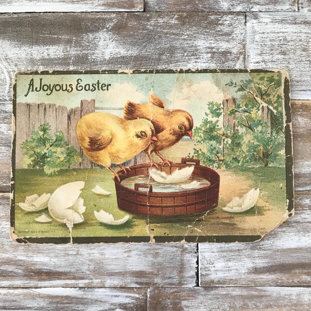 Antique Easter Postcard From the Early 1900s With Baby Chicks. Unused ...