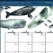Whales Blank Printable Calendar | Whale | Ocean | Beach | Nautical ...