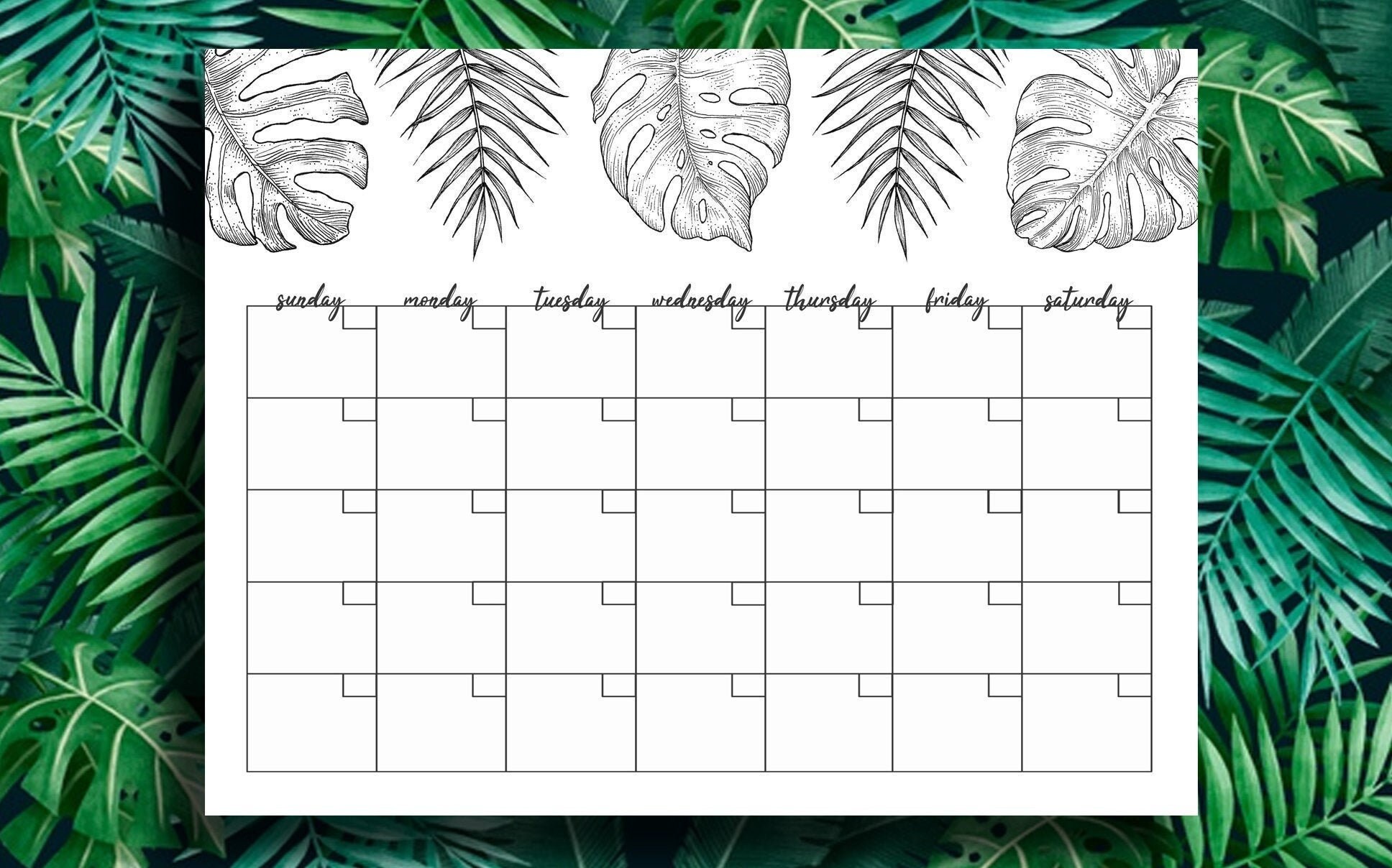 Monstera Monthly Calendar, Blank Calendar, Printable, Agenda, Calendar ...
