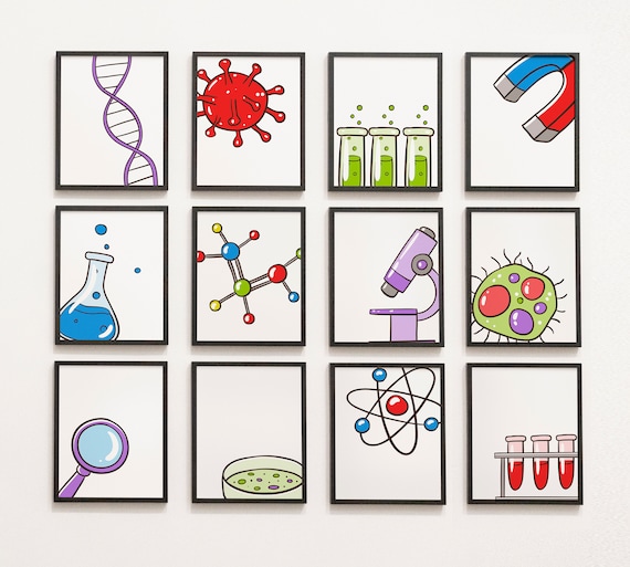 Science Class Gallery Wall Classroom Decor Elementary - Etsy