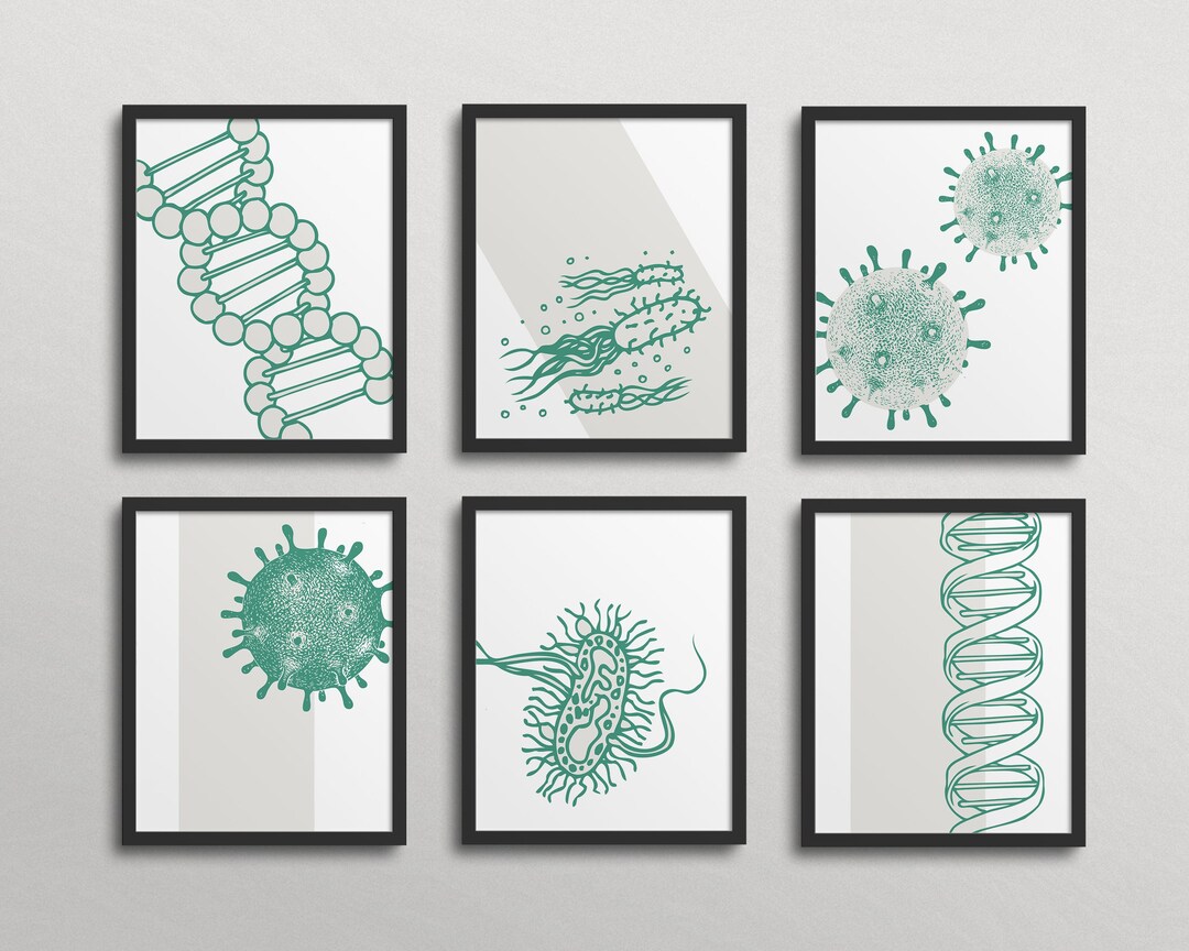Science Class Gallery Wall - Letterpress Classroom Decor High School ...