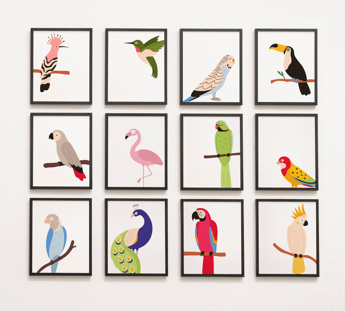 Colorful Birds Gallery Wall Set of 12 Elementary School | Etsy