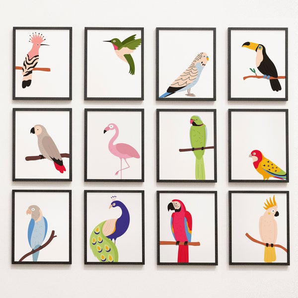 Colorful Bird Art - Etsy