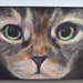 Cat Face Close up Orginal Acrylic Painting 5in by 7in Wood - Etsy