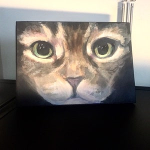 Cat Face Close up Orginal Acrylic Painting 5in by 7in Wood - Etsy