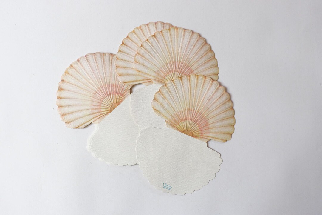 Vintage Seashell Olympicard Note Card Set - Etsy