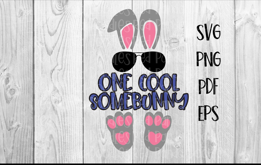 One Cool Some Bunny Digital Design SVG Bundle PNG - Etsy