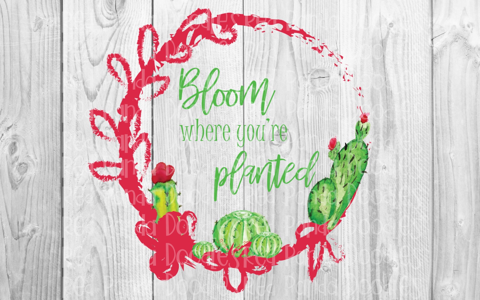 Bloom Where You're Planted Cactus Frame Digital Design - Etsy