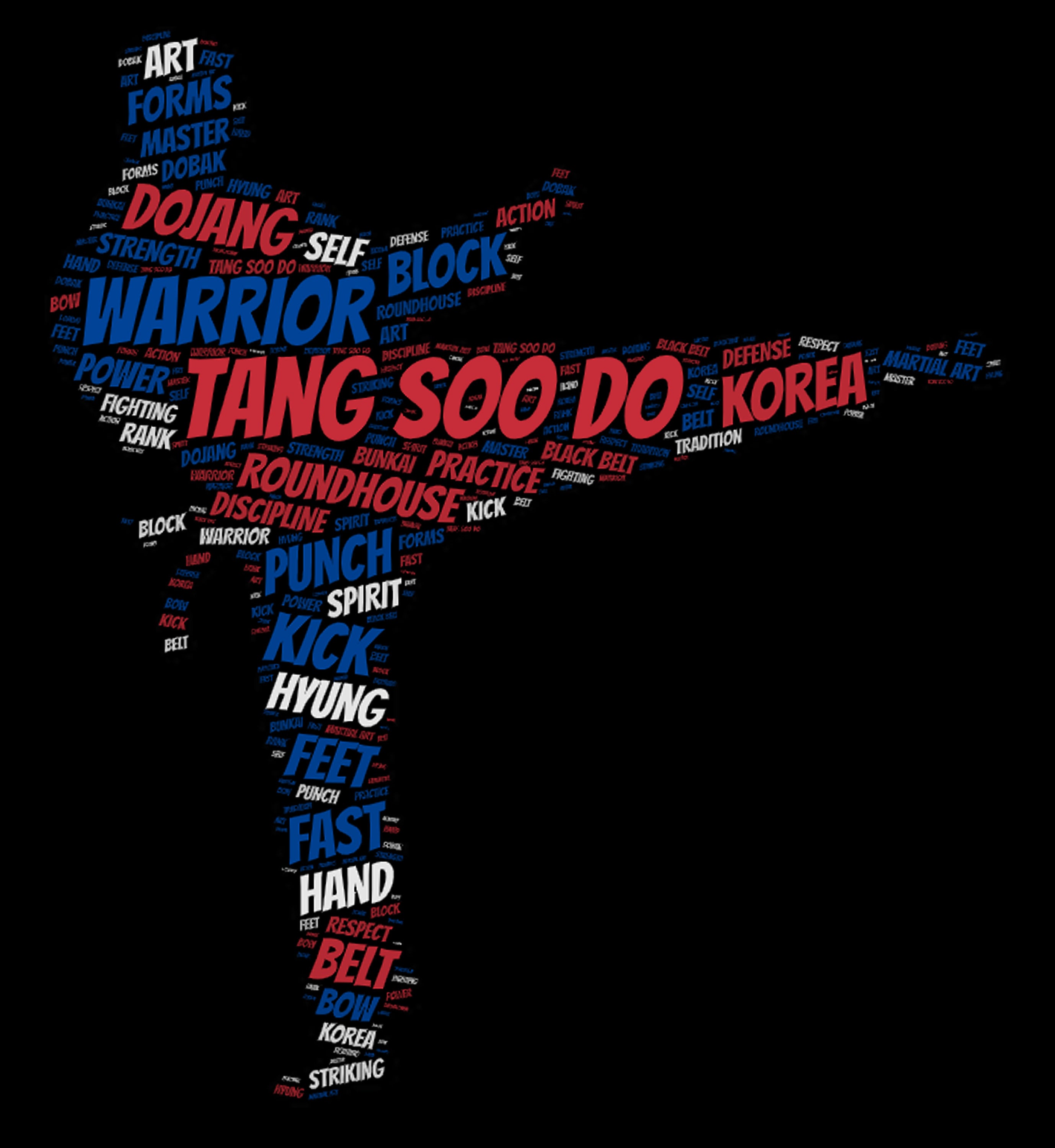 Tang Soo Do T Shirt | Martial Arts Clothing | Gift for Martial Arts ...