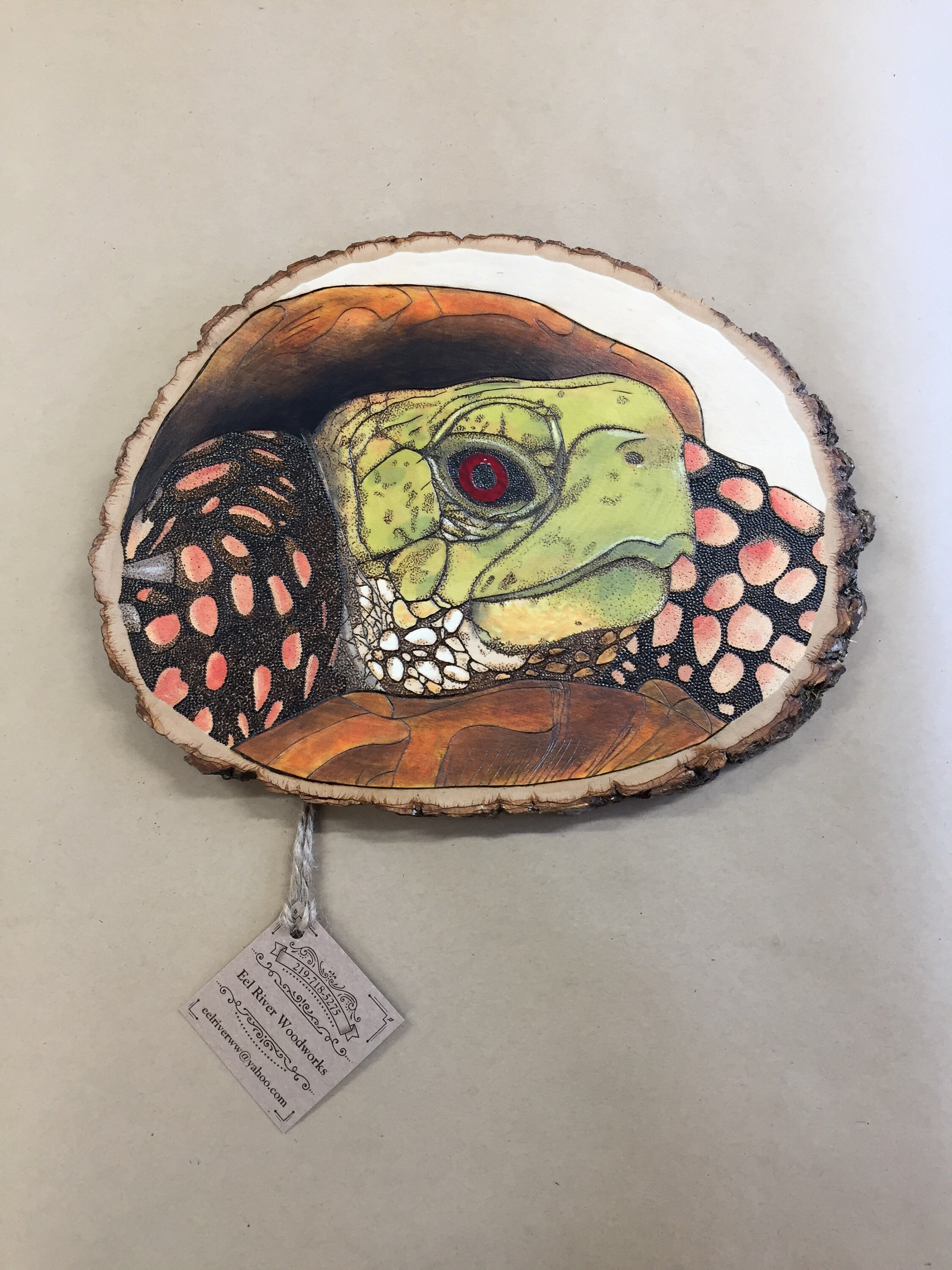 Turtle/sea Turtle Artwork Pyrography - Etsy