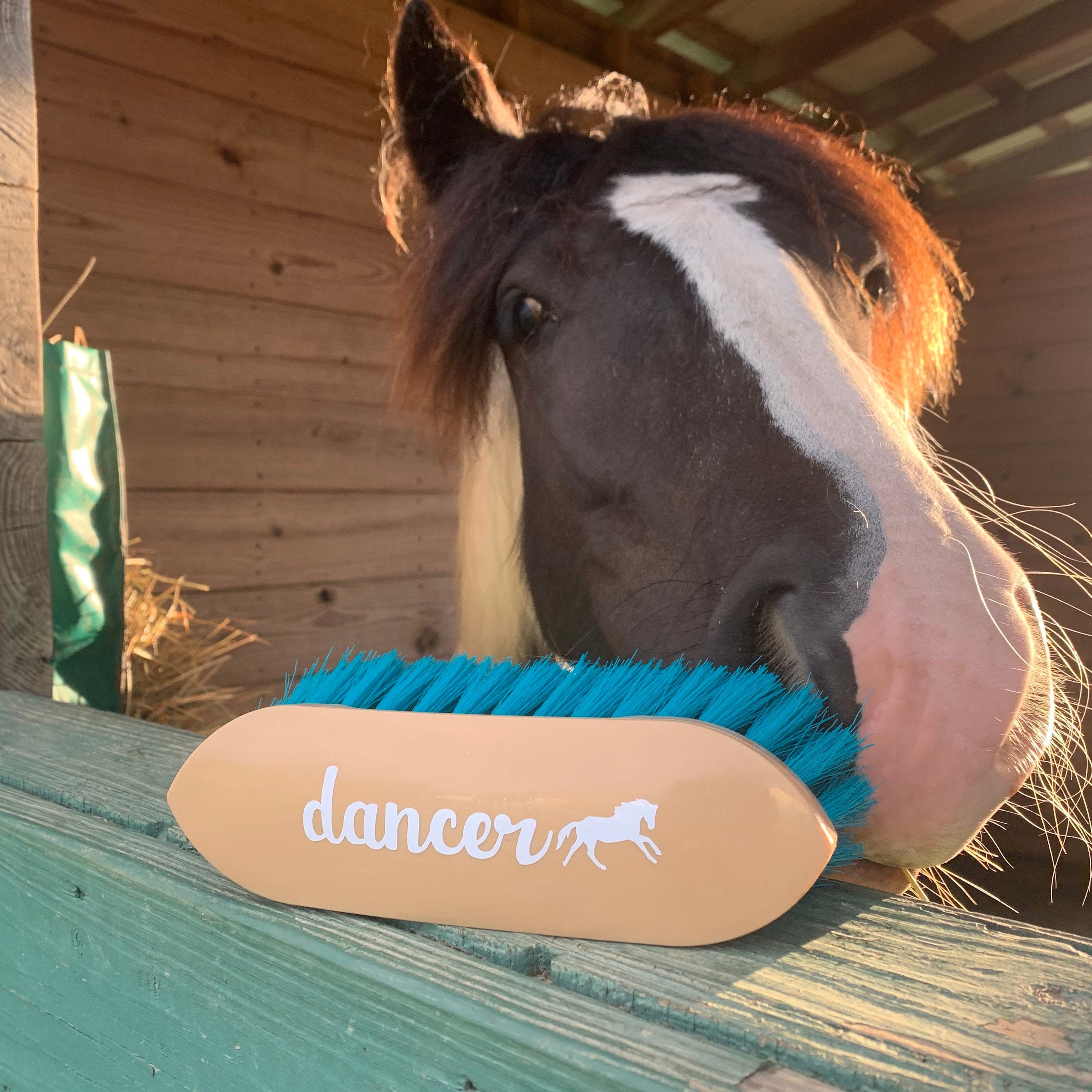 Personalized Horse Decal - Equestrian Gift, Feed Bucket, Pet Name ...
