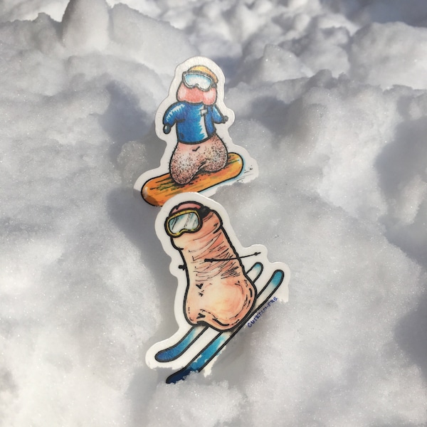 Snowboard Stickers - Etsy