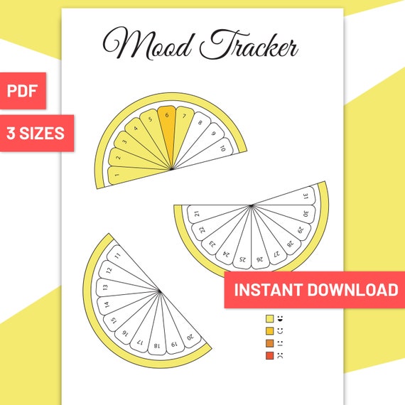 Mood Tracker Bullet Journal Beautiful Citrus Design | Etsy