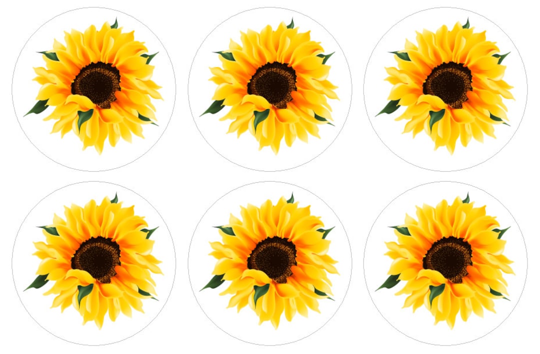 12 Edible Sunflowers for Cake, Cupcake & Cookie Toppers Wafer Paper ...