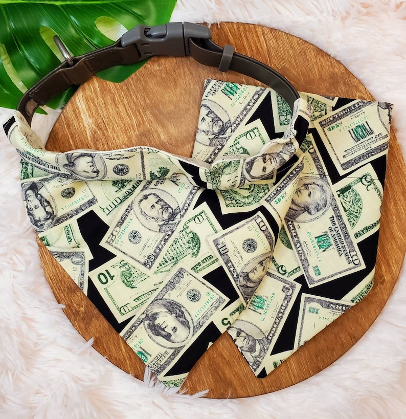 Money, Dollar Sign, Cash, Dollar Bill Dog Bandana, Handmade, Slide On ...