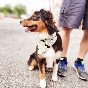 Money, Dollar Sign, Cash, Dollar Bill Dog Bandana, Handmade, Slide On ...