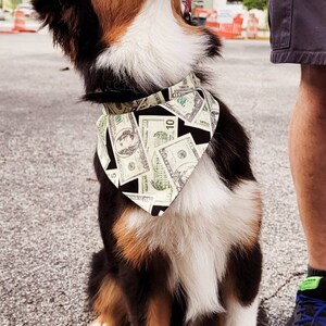 Money, Dollar Sign, Cash, Dollar Bill Dog Bandana, Handmade, Slide On ...