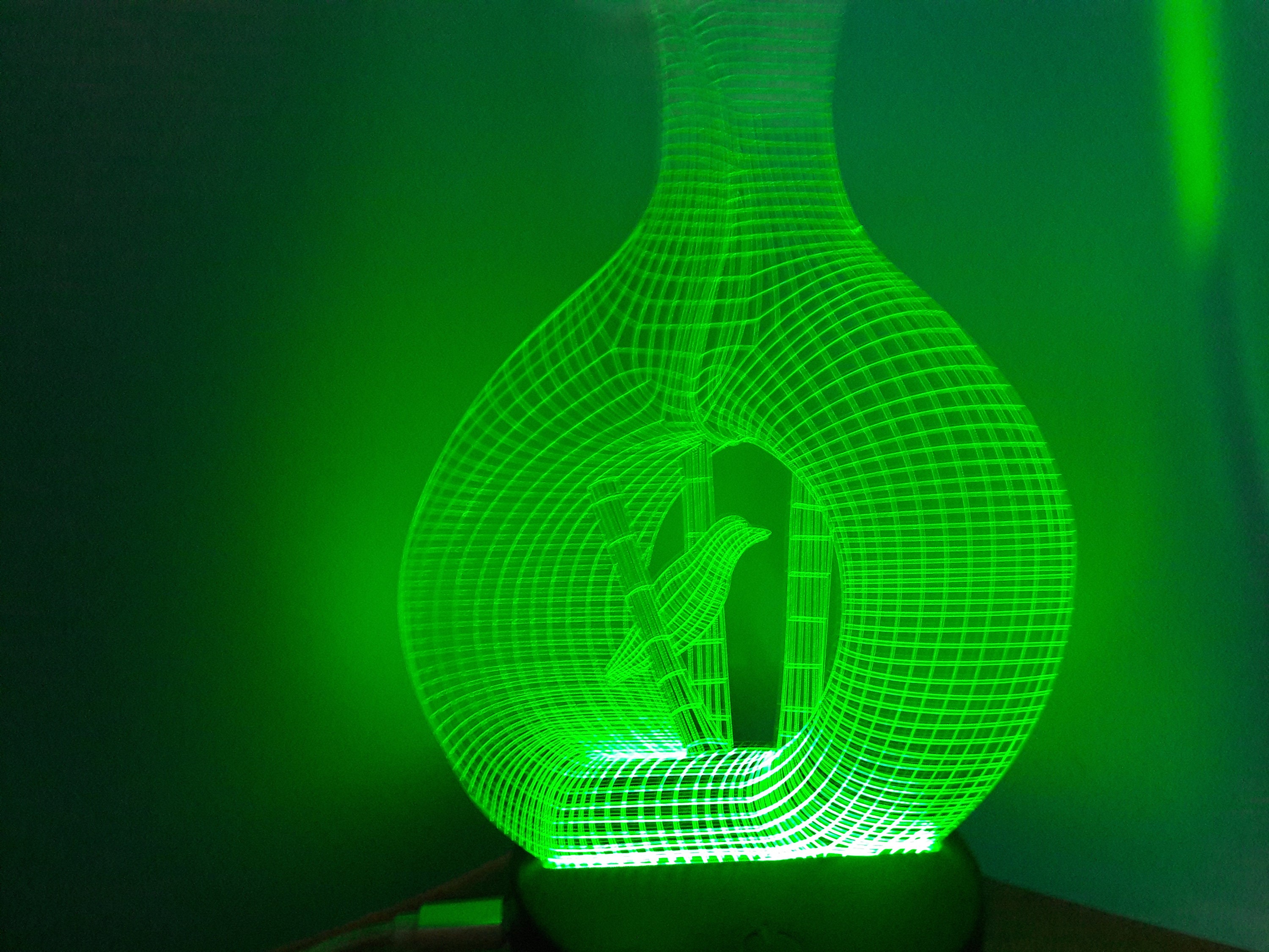 LED 3D Lamp Laser engraved Bird in Vase Optical Illusion 7 | Etsy