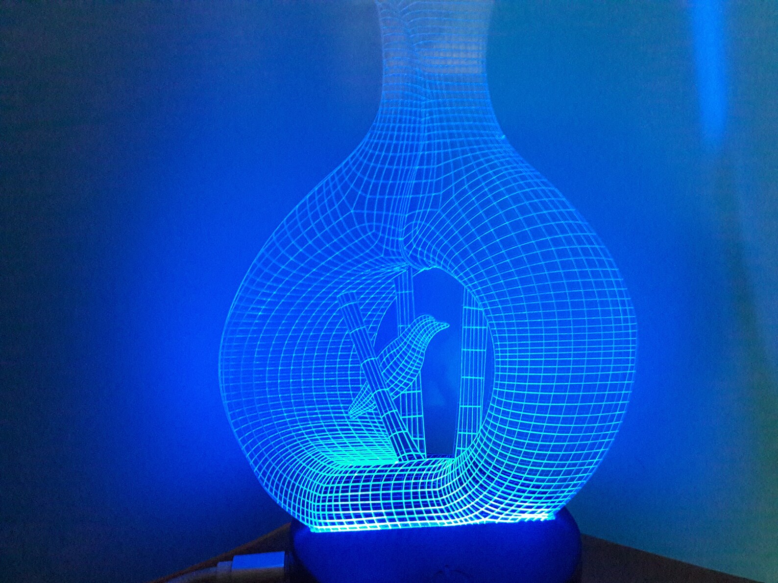LED 3D Lamp Laser engraved Bird in Vase Optical Illusion 7 | Etsy