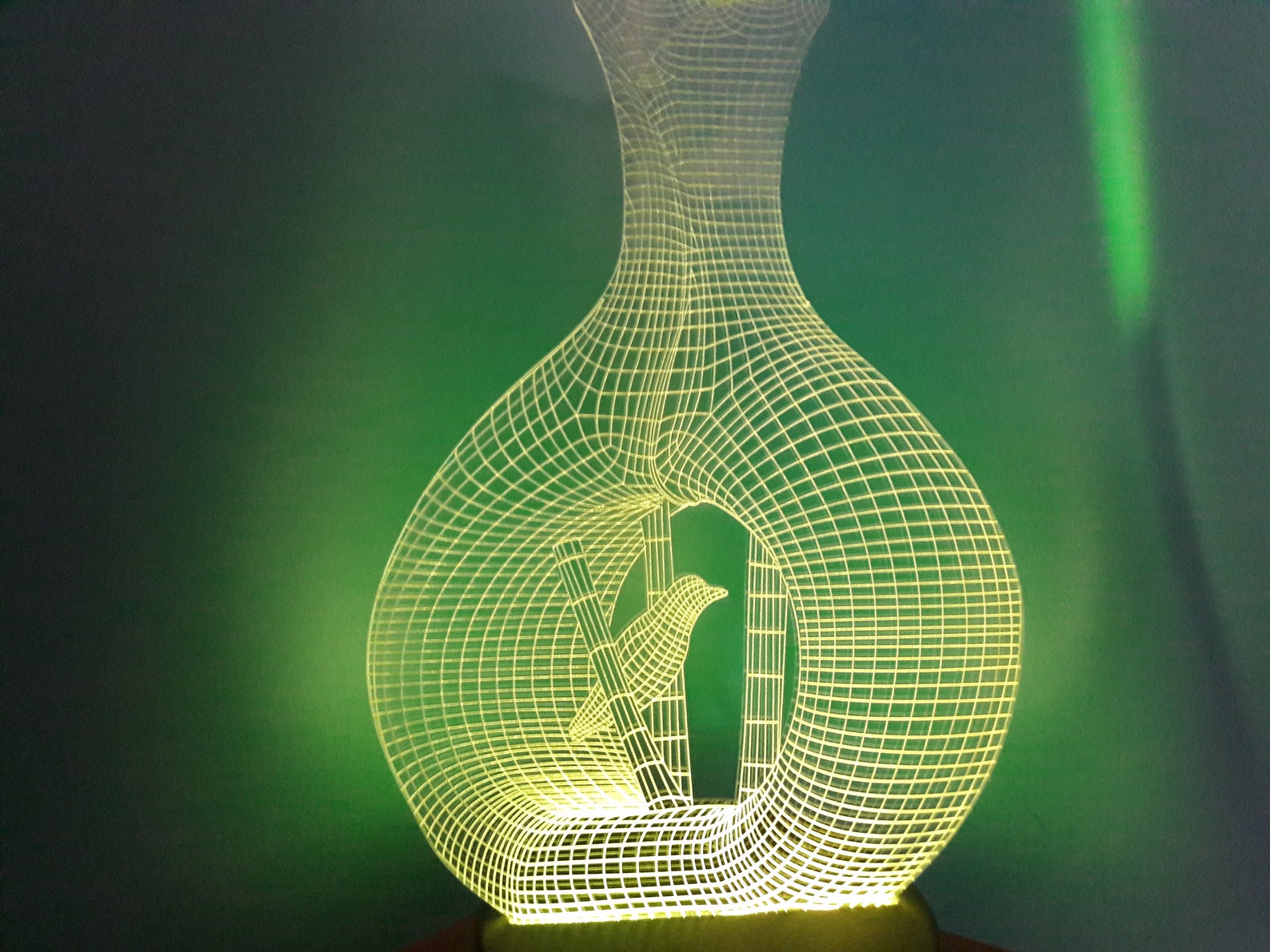 Bird in Vase 3D LED Lamp – Color Changing Optical Illusion - Etsy UK