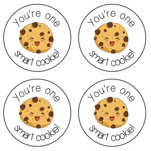 35x Custom You Are One Smart Cookie! Teacher Praise Textbook School ...