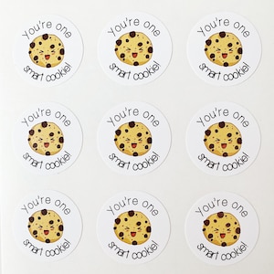 35x Custom You Are One Smart Cookie! Teacher Praise Textbook School ...