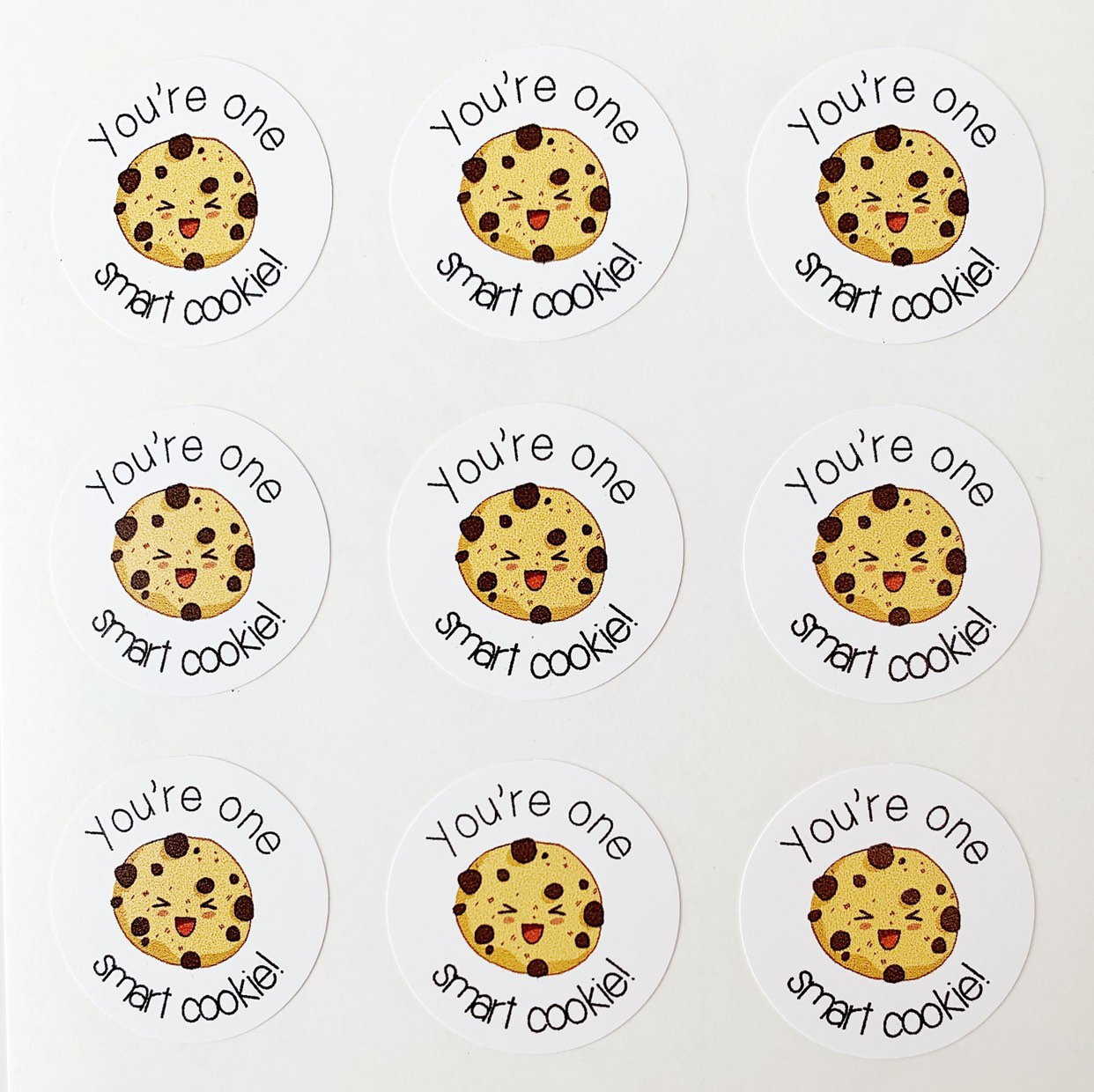 35x Custom You Are One Smart Cookie! Teacher Praise Textbook School ...