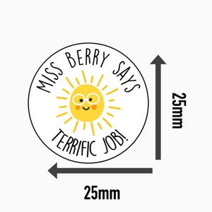 35x Terrific Work! Smiley Sun Personalised Good Work Teacher Praise ...
