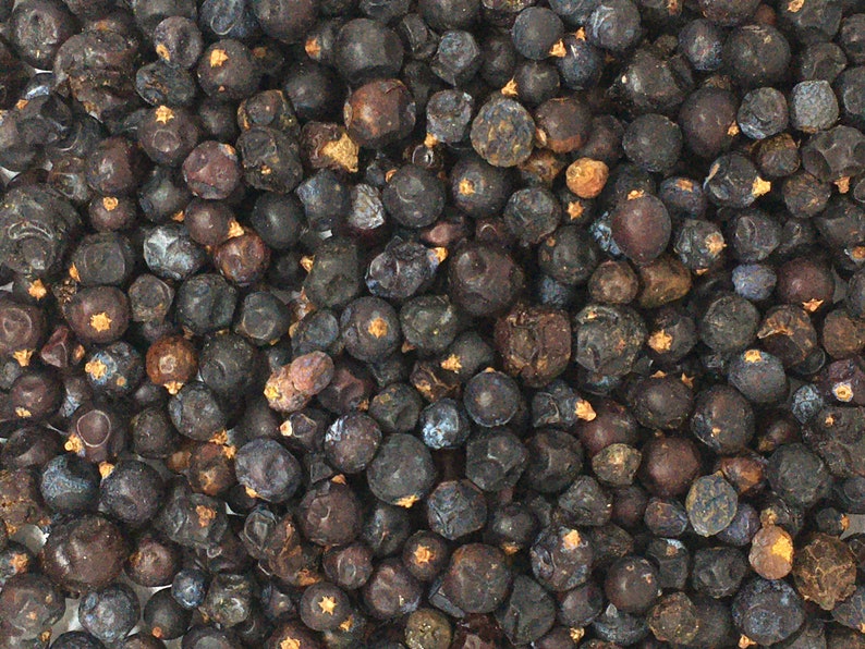 Juniper Berries Whole, Juniperus Communis, - Etsy