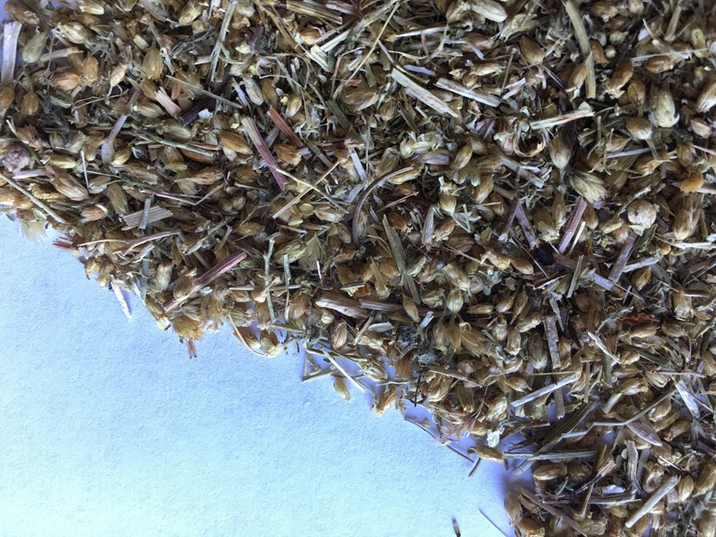 Achillea Millefolium Yarrow Herb Cut Wound Healing Herbal - Etsy