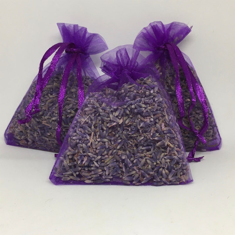 Satchel With Lavender - Etsy