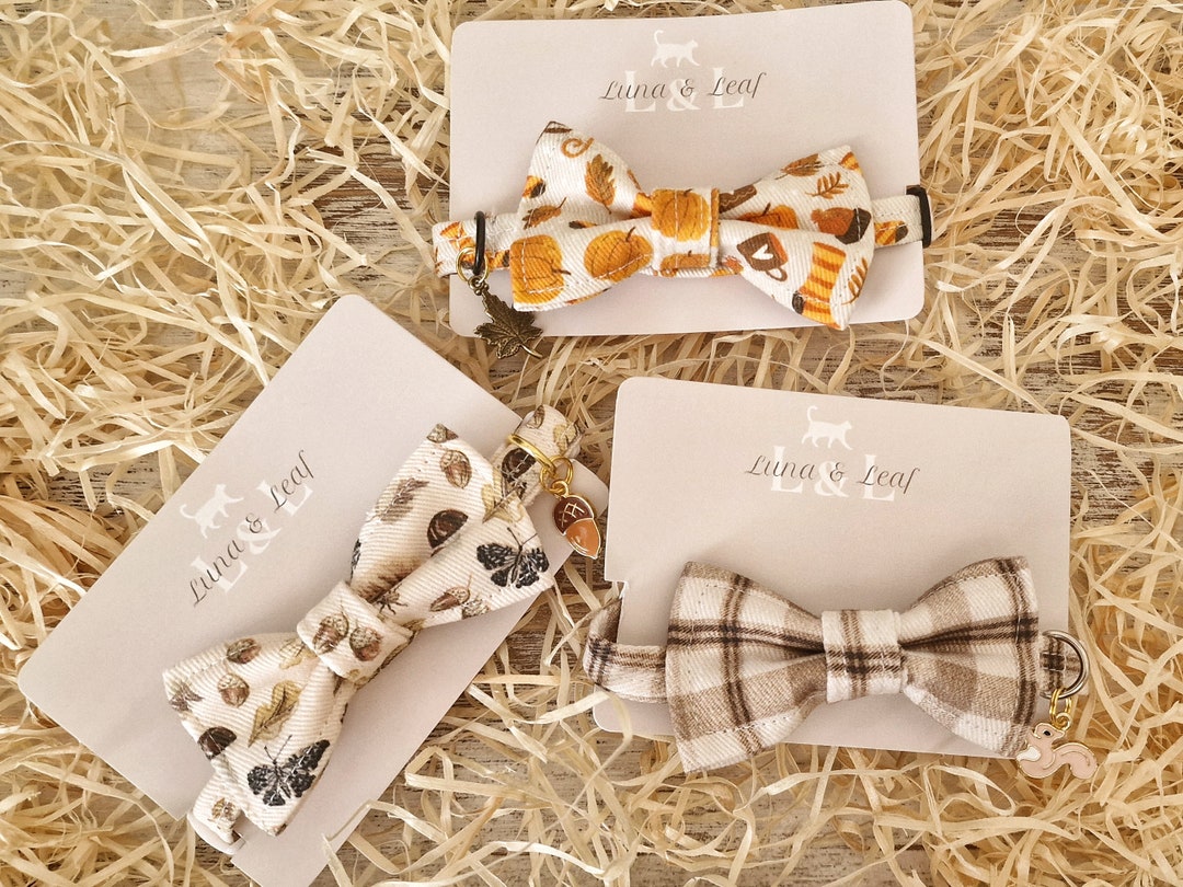 Autumnal Cat Collar Eco Friendly Cat Collar Autumn Fall Cat - Etsy