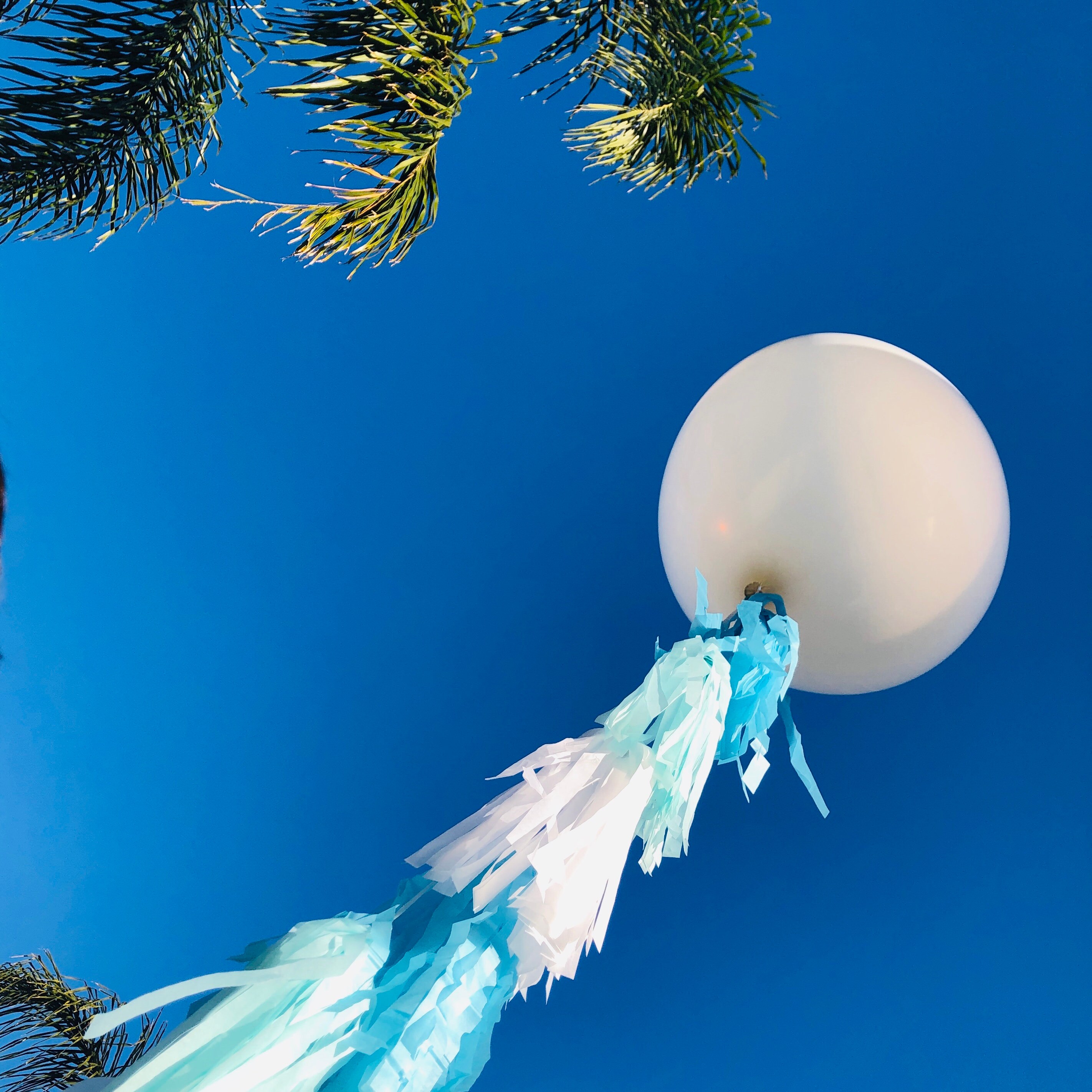 Jumbo Balloon Tassel Tail Fringe Diy Tassel Garland Etsy Australia
