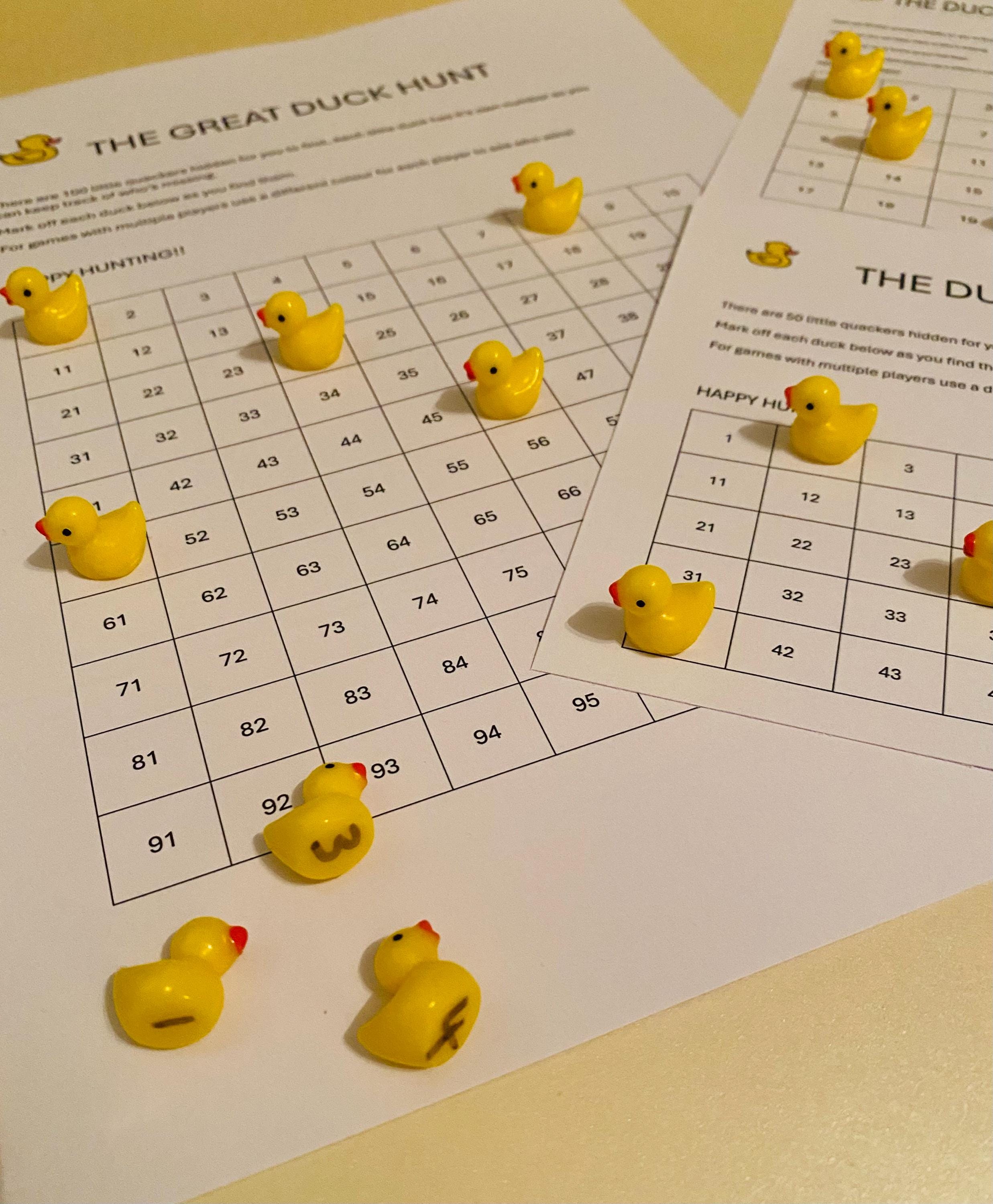 Duck Hunt, Duck Game, Hide and Seek - Etsy UK
