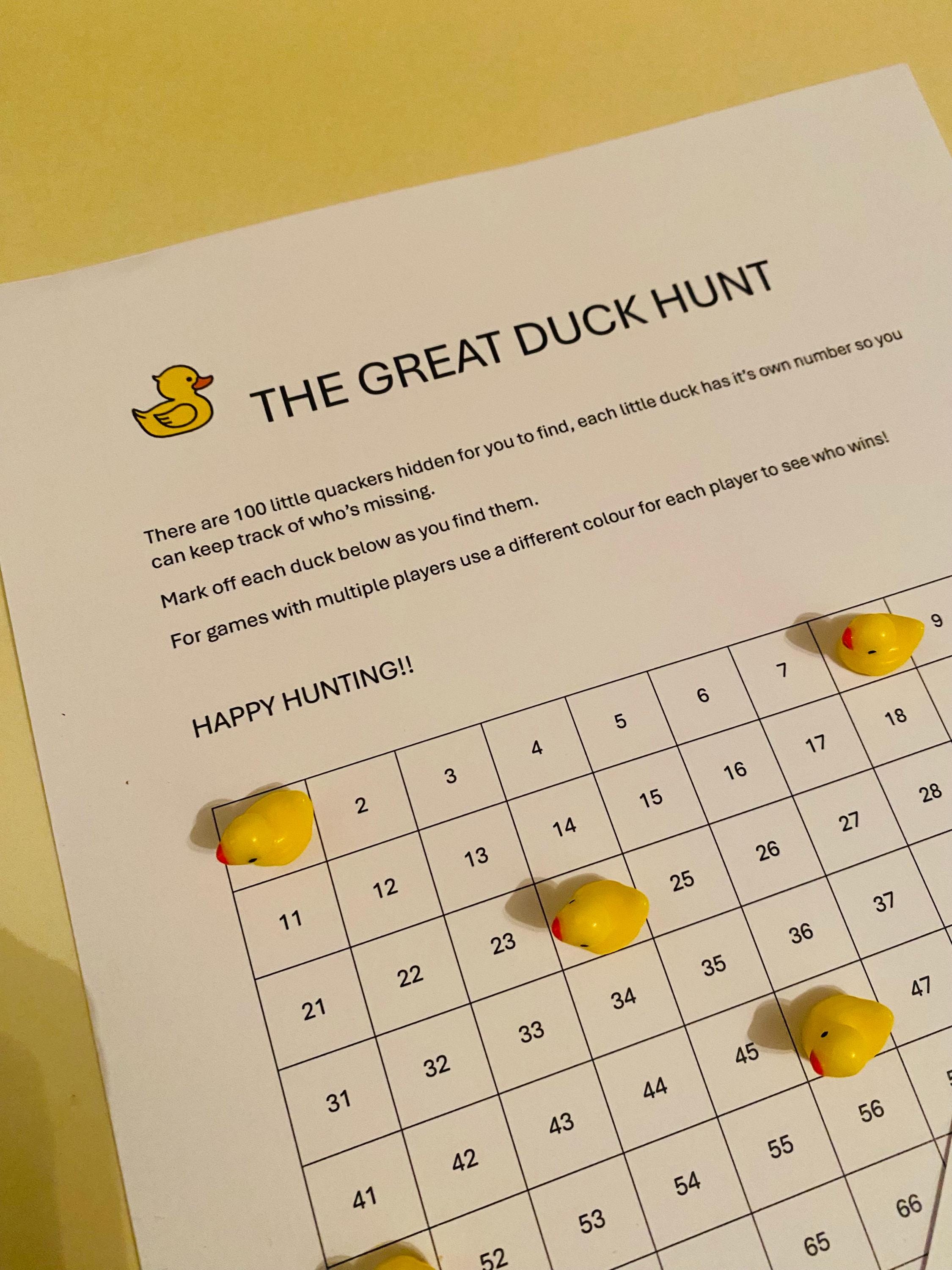 Duck Hunt, Duck Game, Hide and Seek - Etsy UK