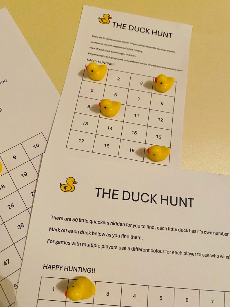 Duck Hunt, Duck Game, Hide and Seek - Etsy UK