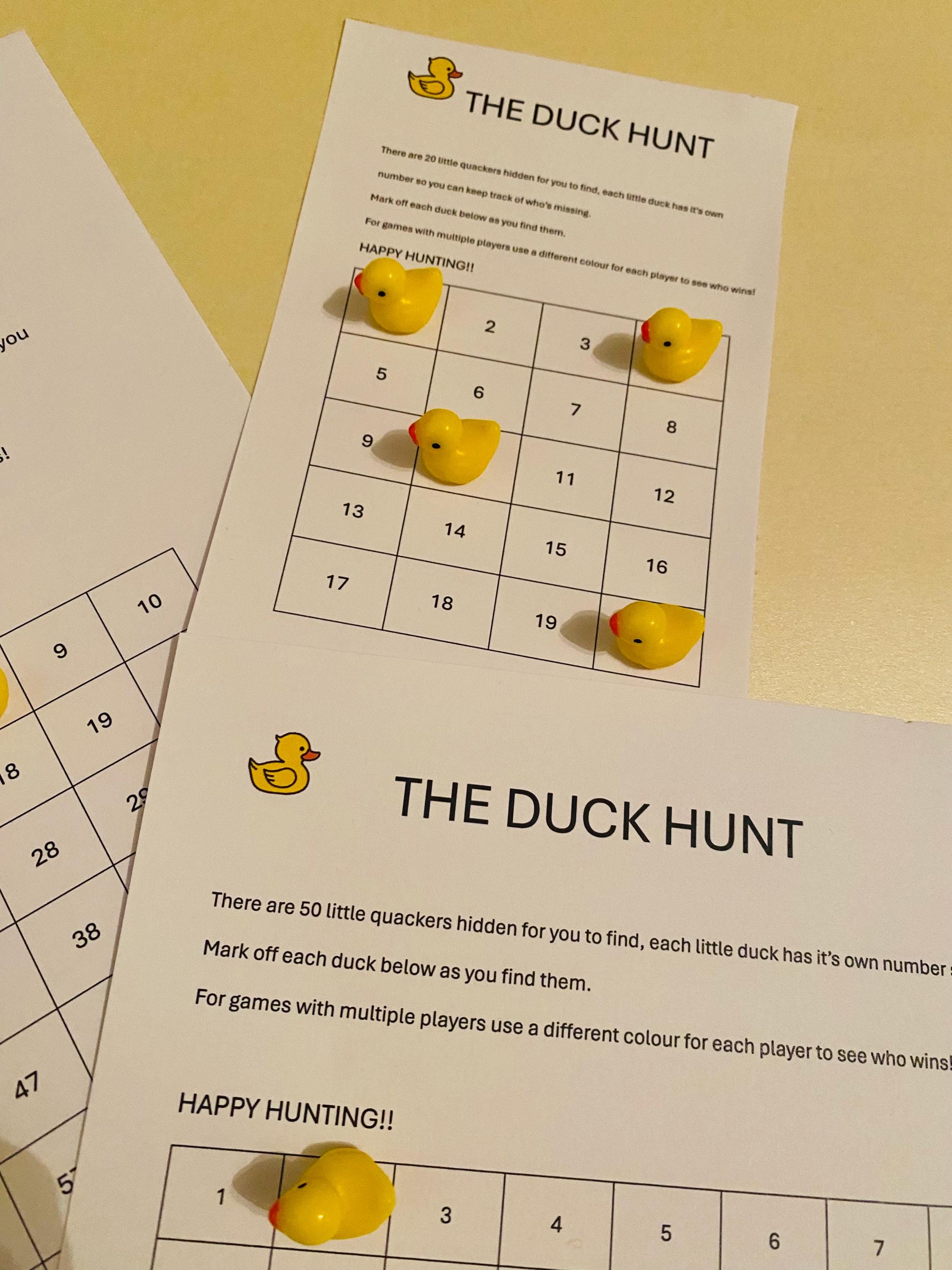 Duck Hunt, Duck Game, Hide and Seek - Etsy UK