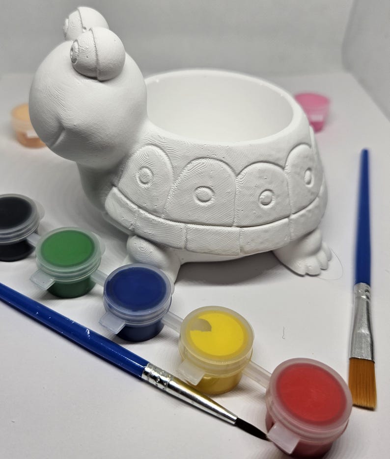 Paint a Turtle Planter - Etsy