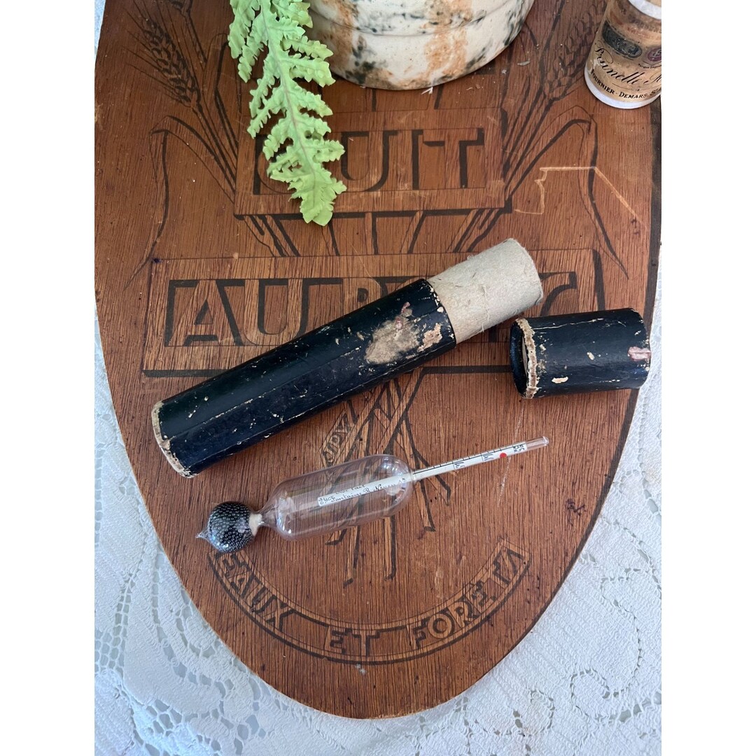 French Antique 1800's Floating Milk Thermometer With Case - Etsy