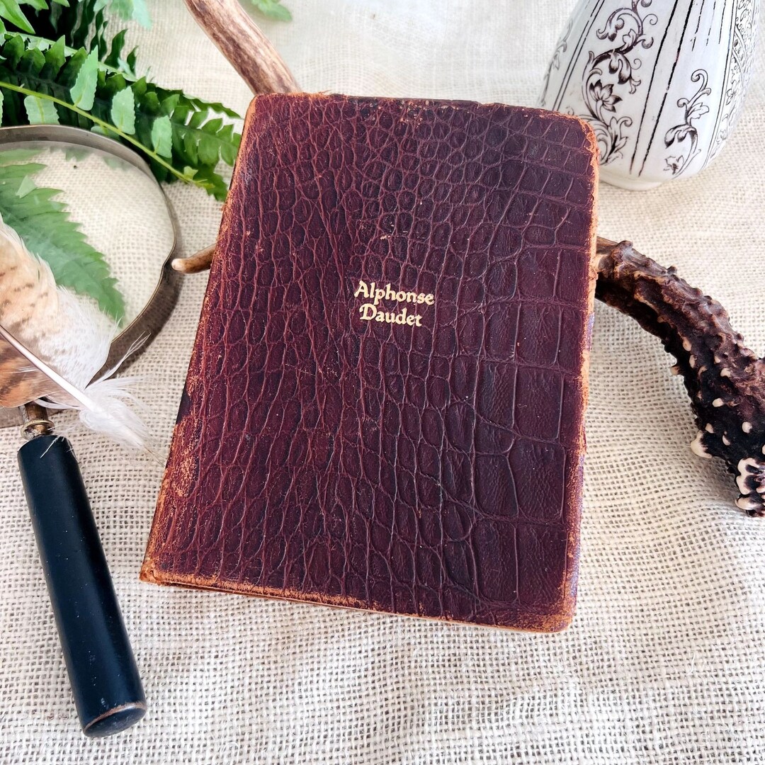 Antique Works of Alphonse Daudet Soft Leather Bound Book Gold Leaf ...