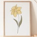 Daffodil One Line Flower Print, Earth Tone Line Art, One Line Drawing ...
