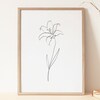 One Line Daffodil, Daffodil Print, Flower Line Art, Minimalist Art ...