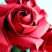 Valentine's Day Rose, Origami Paper Rose, Flower Bouquet, Origami ...