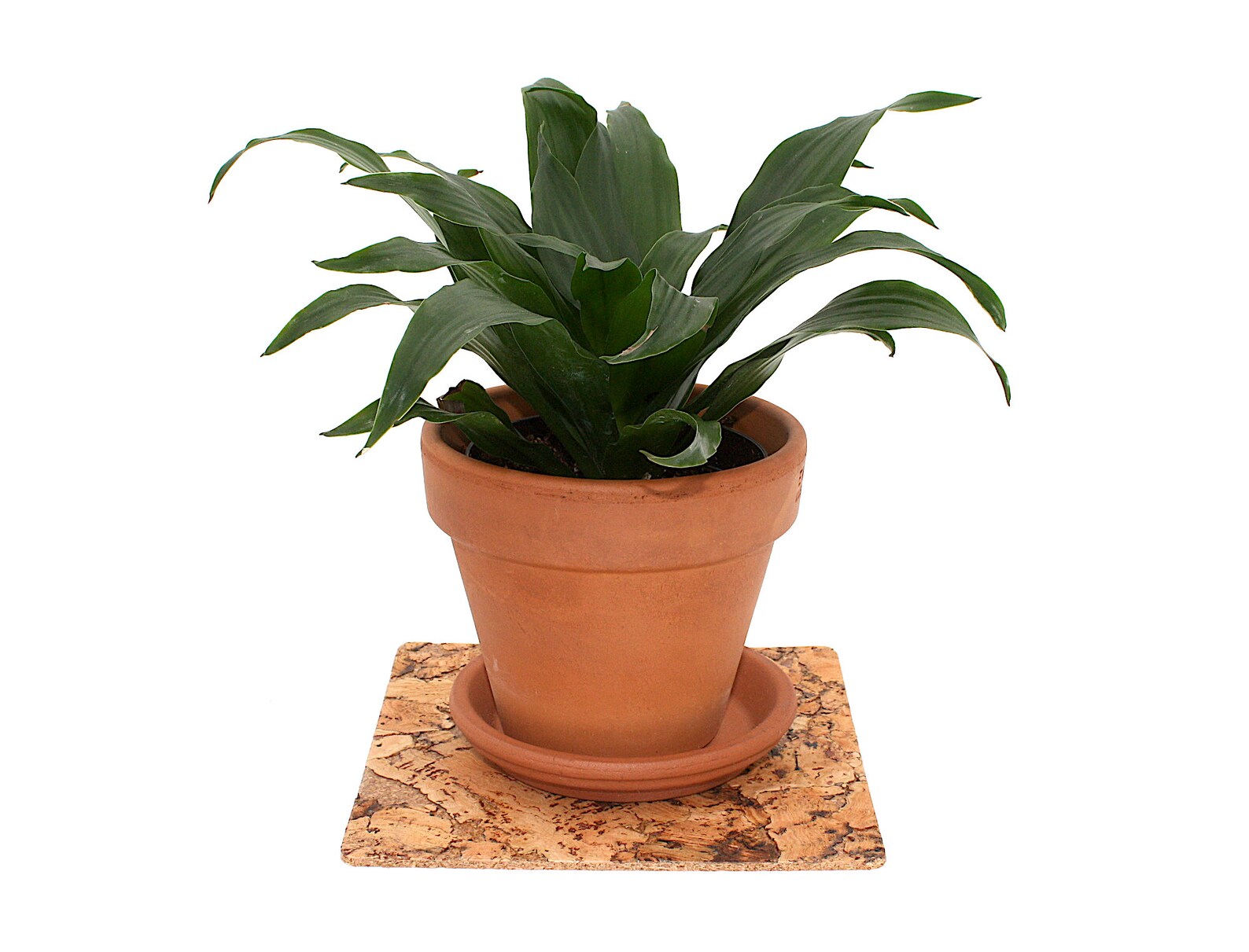 6 Inch Square Cork Potted Plant Coaster, Flower Pot Mat, Home Pod Pad ...