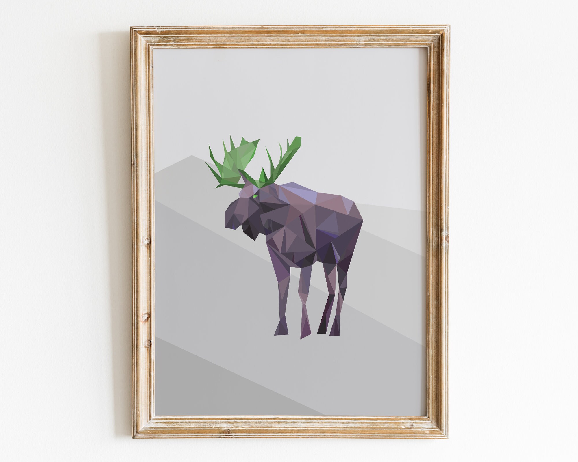 Geometric Moose